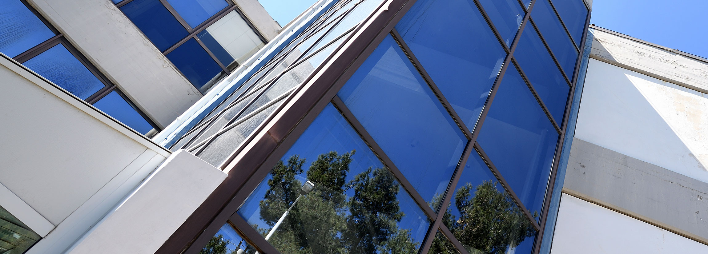 Who we are | Pharmis S.A.